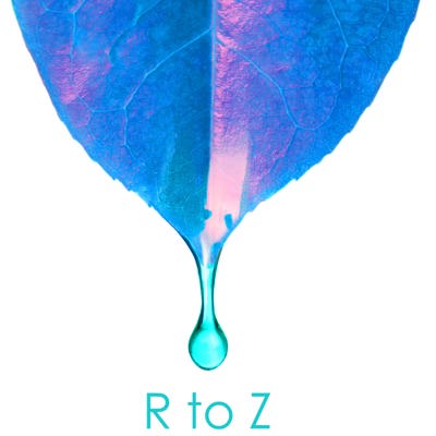 Preservative Eco | COSMOS approved | Geogard ECT | Soapmakers Store UK